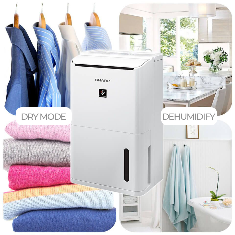ION and Dehumidifier Machine DW-D20A-W